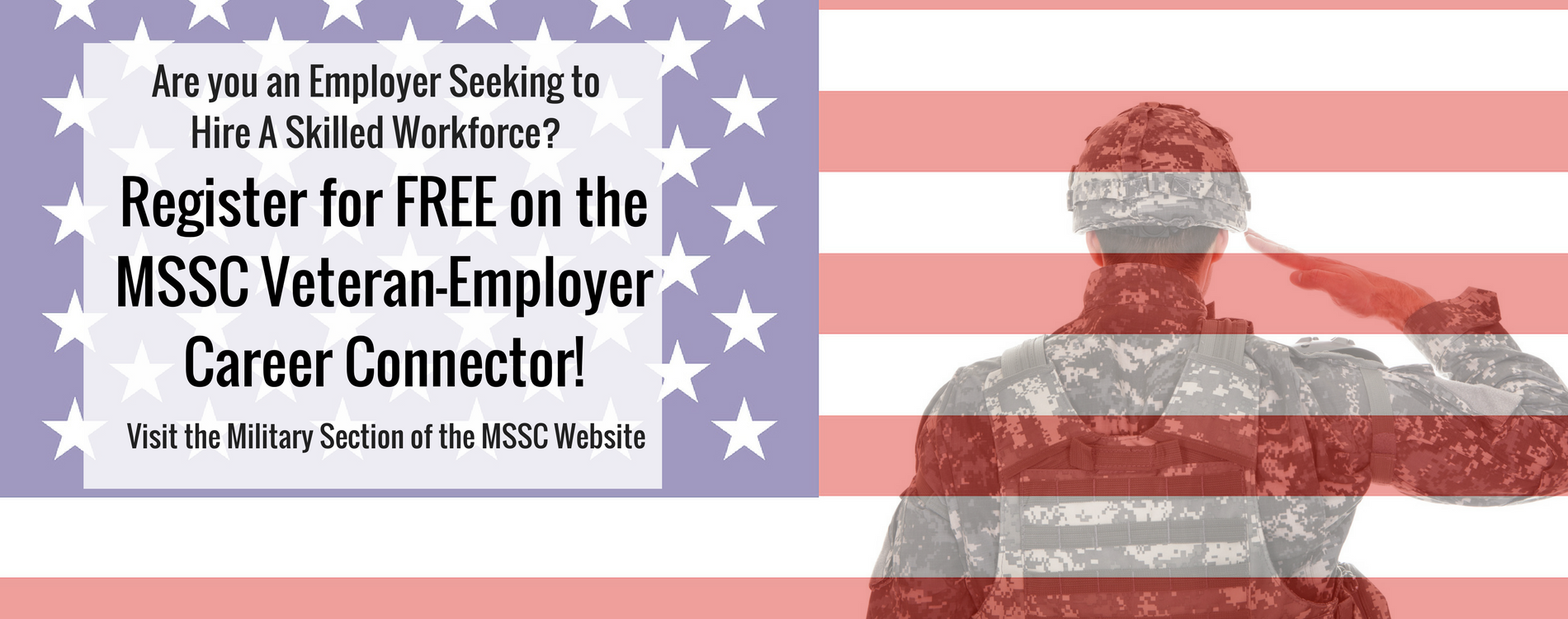 Vet connect website – MSSC